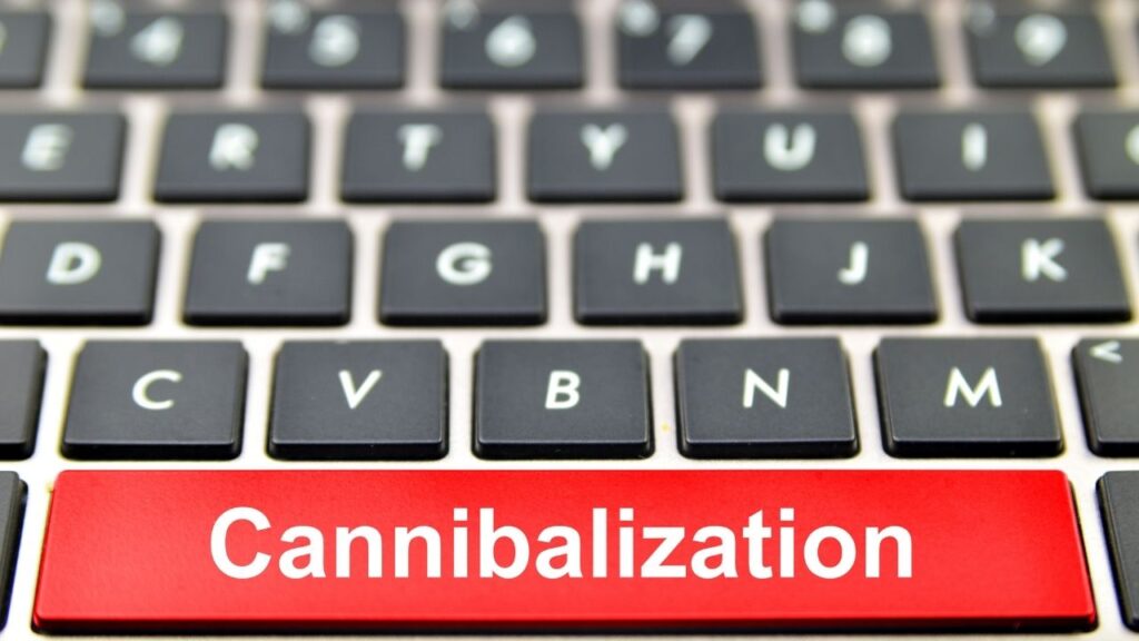 How to Recognize and Resolve Cannibalization Issues?